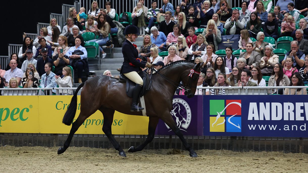 2024 HOYS intermediate show riding type rules - Horse & Hound
