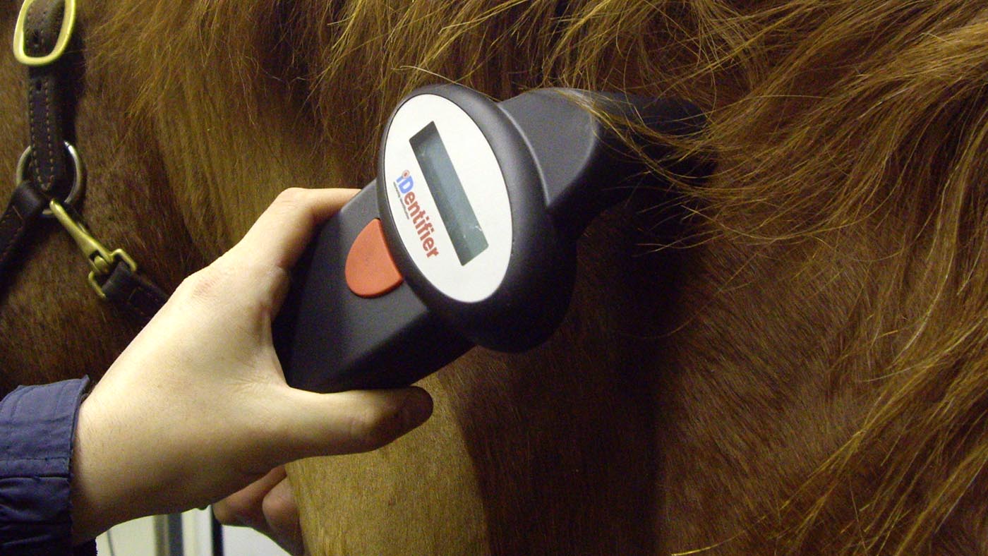 Vet struck off for dishonest passport application claims he was ...