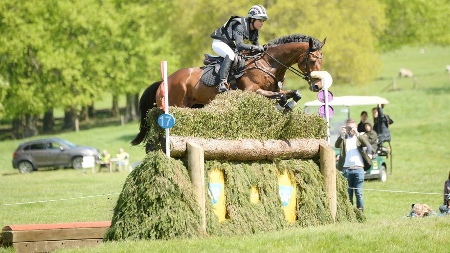 Seigneur Medicott, Olympic event horse, retires: ‘I can’t thank you enough’