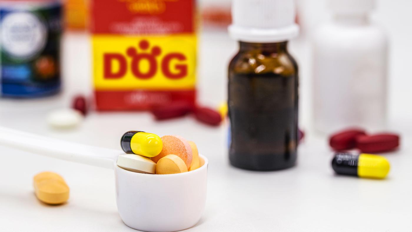 Best vitamins for dogs following veterinary advice | Horse & Hound