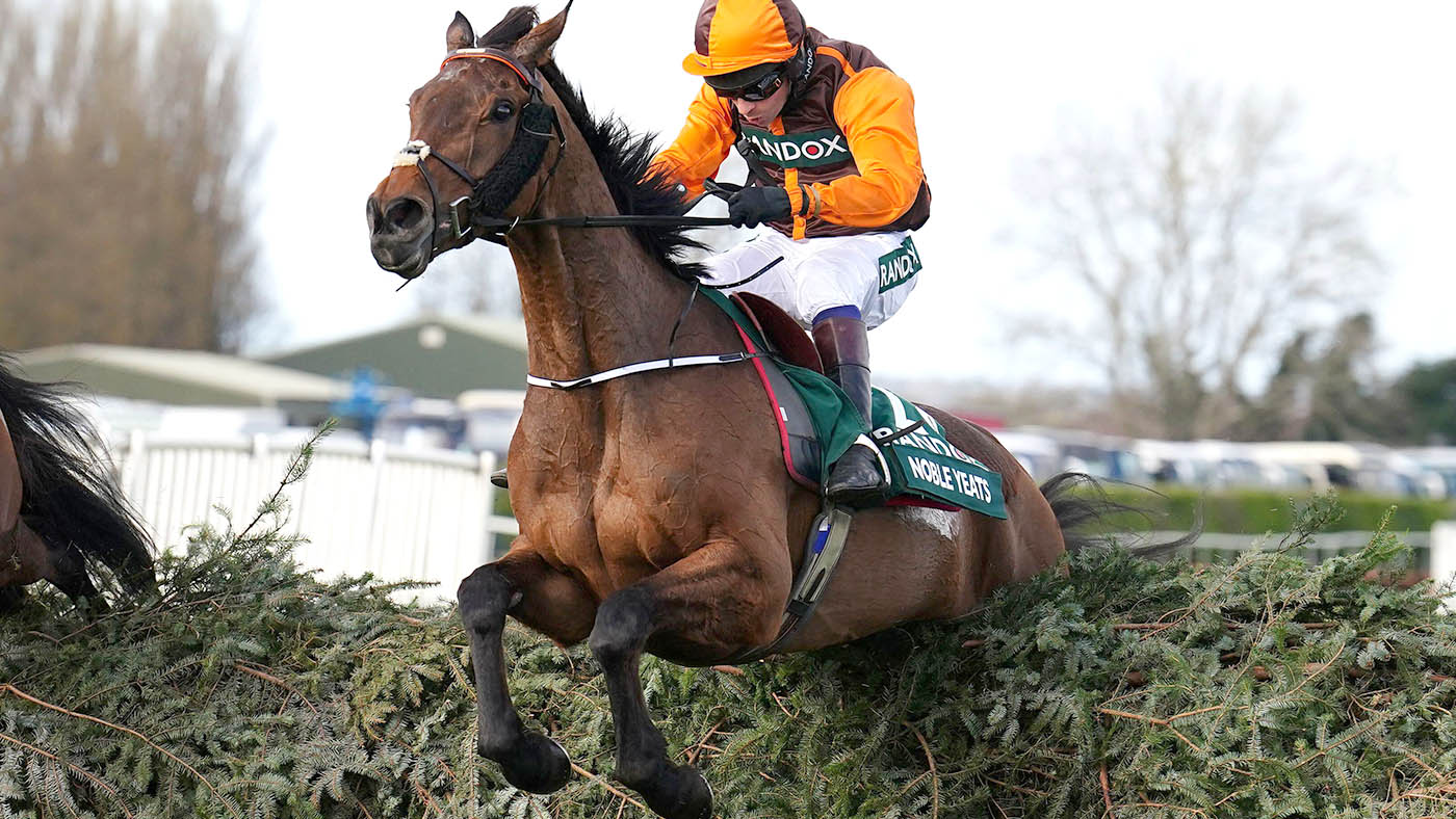 Grand National winner Noble Yeats is aiming for the Stayers' Hurdle