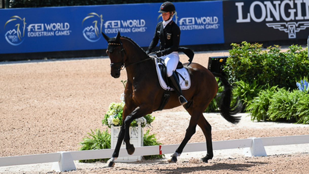 FischerChipmunk FRH – an unlucky eventing world record-holder