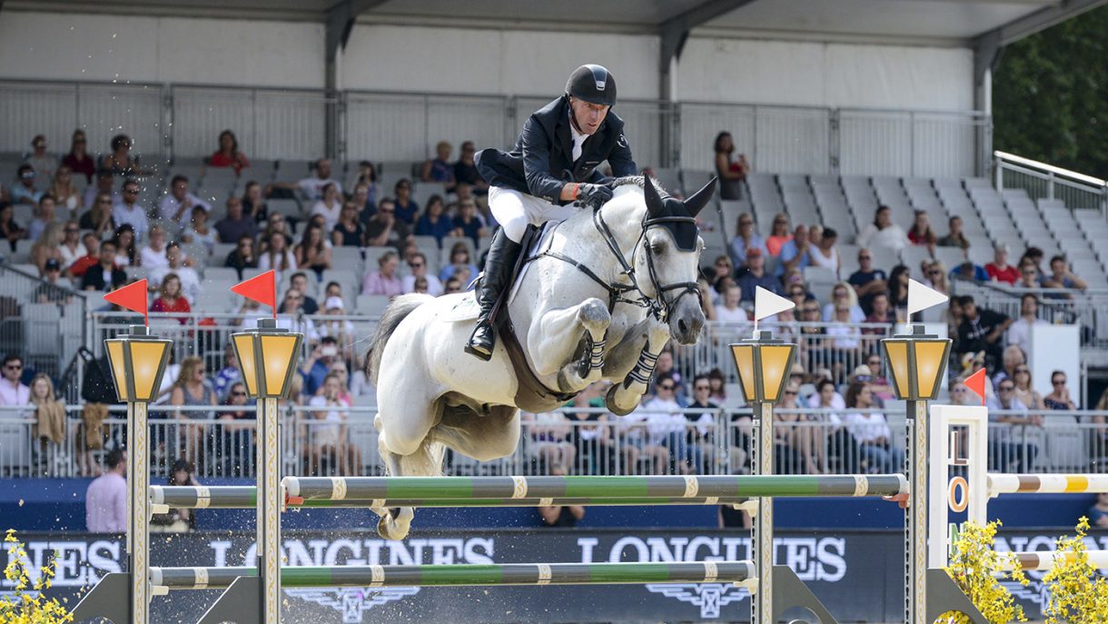 Showjumping stallion Dallas VDL put down after accident at stallion show