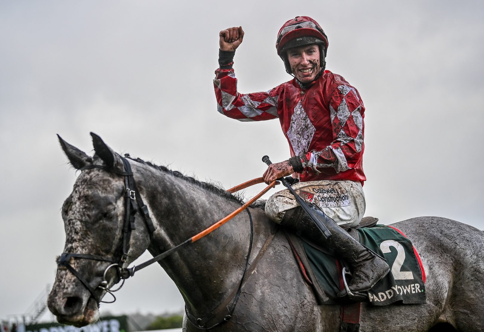 Champion Hurdle winner Rock On Ruby retires - Horse & Hound