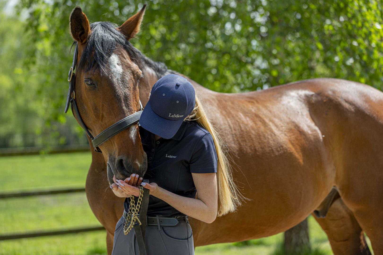 How to get a horse to listen while you're handling him | Horse & Hound