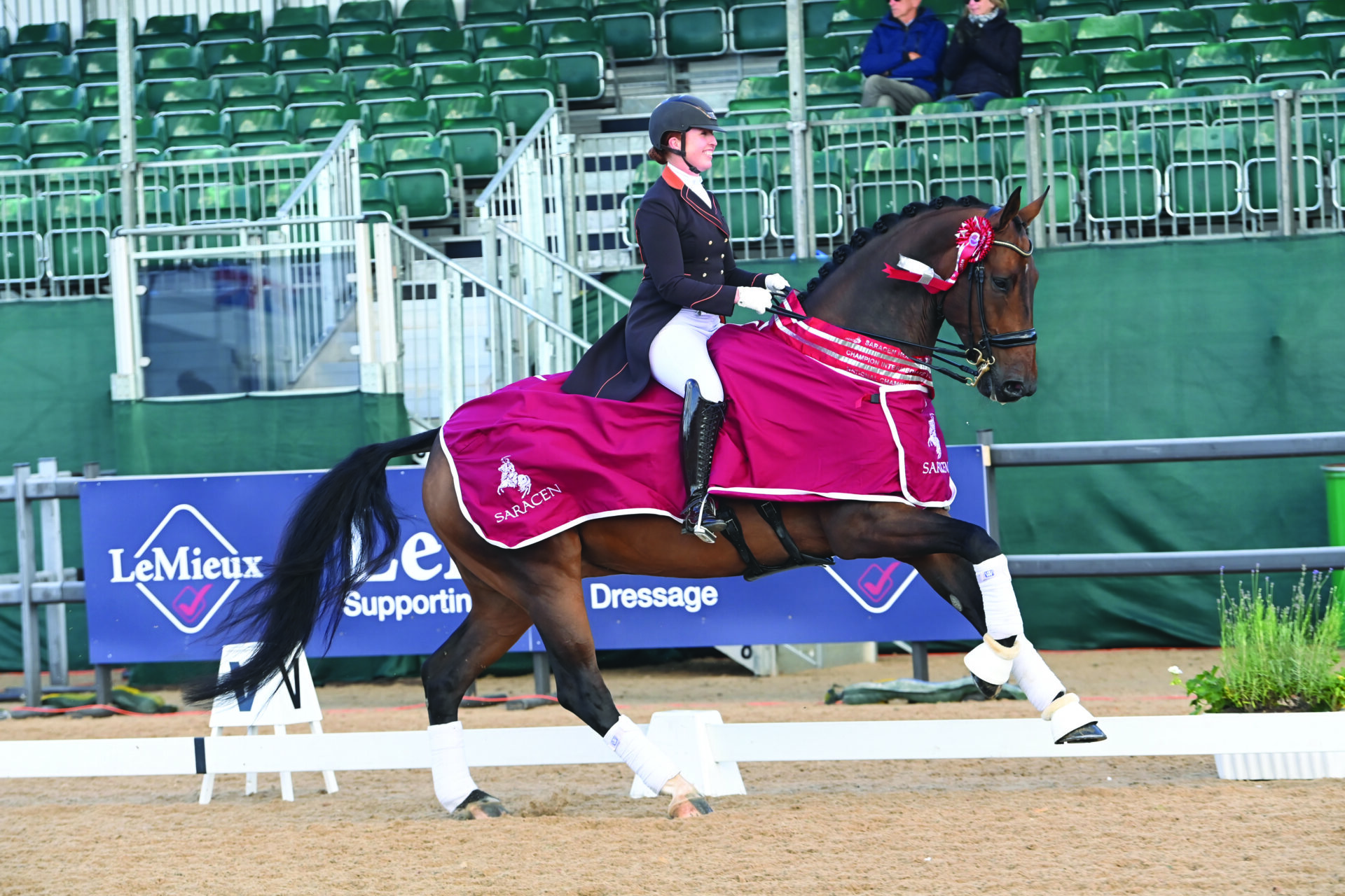 How to get started in affiliated dressage and the key info you need to know