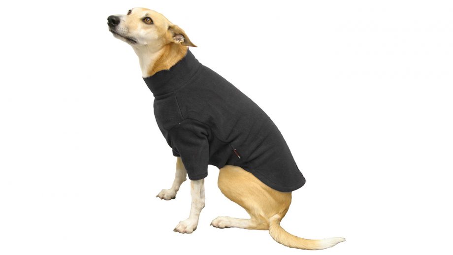 Best fleeces for dogs to keep them cosy | Horse & Hound