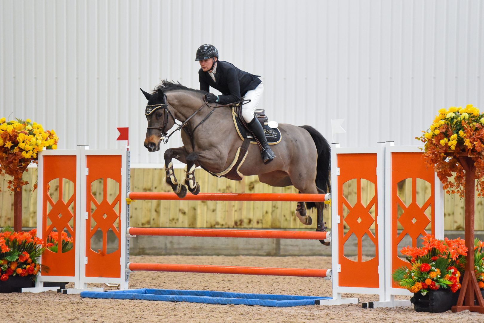 A big win for Irish rider Mikey Pender in showjumping news
