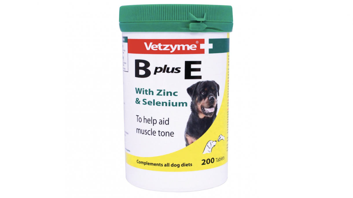 Best vitamins for dogs following veterinary advice | Horse & Hound