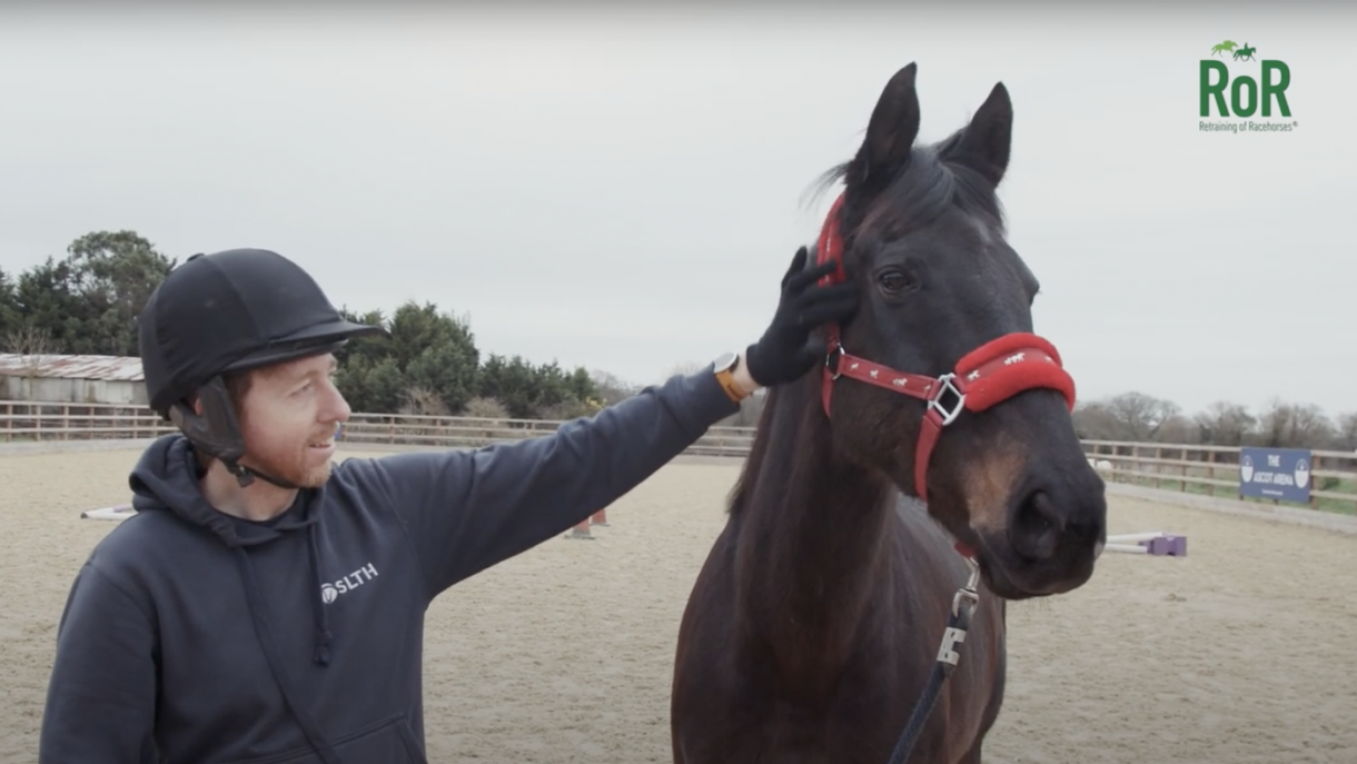 Meet former racehorse Dreamisi who’s helping prisoners and young people