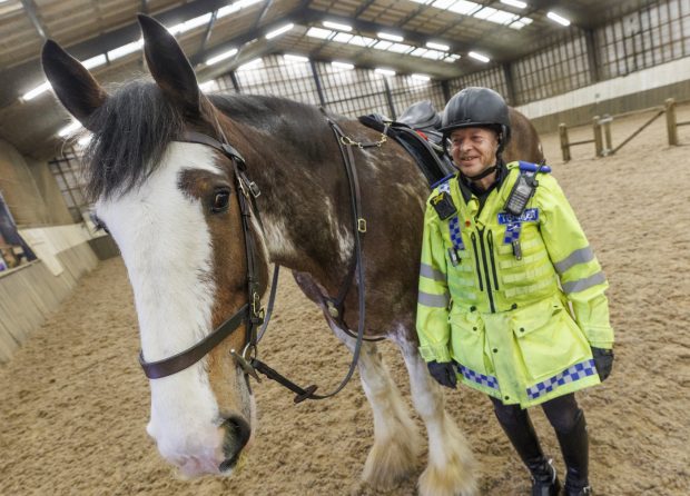 Meet Trooper, Britain’s newest – and biggest — police horse - Horse & Hound