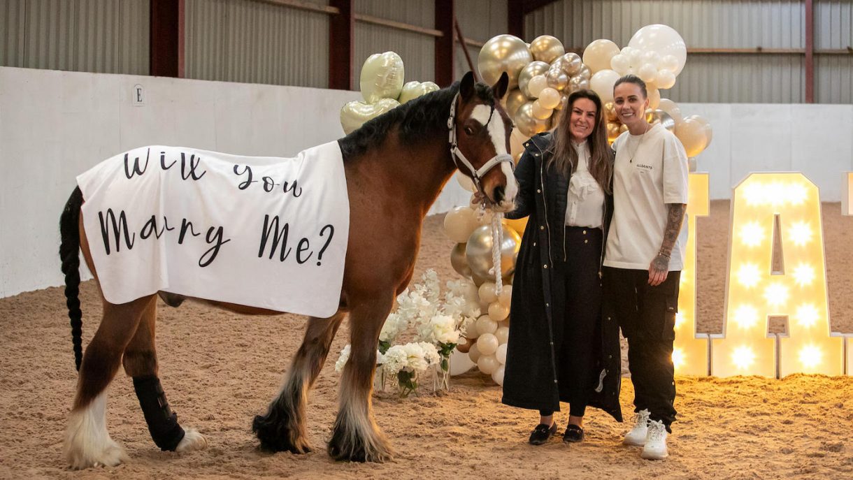 Horse wears ‘will you marry me?’ rug in rider’s ‘perfect proposal ...