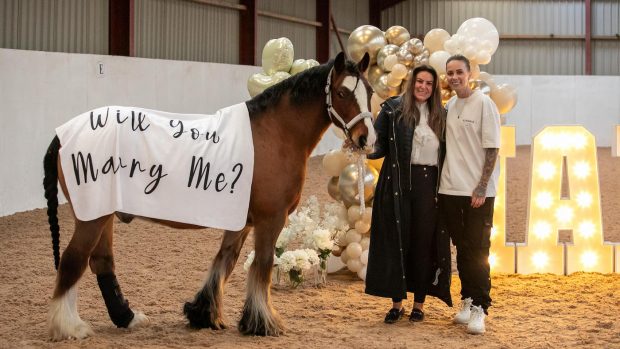 Horse wears ‘will you marry me?’ rug in rider’s ‘perfect proposal ...