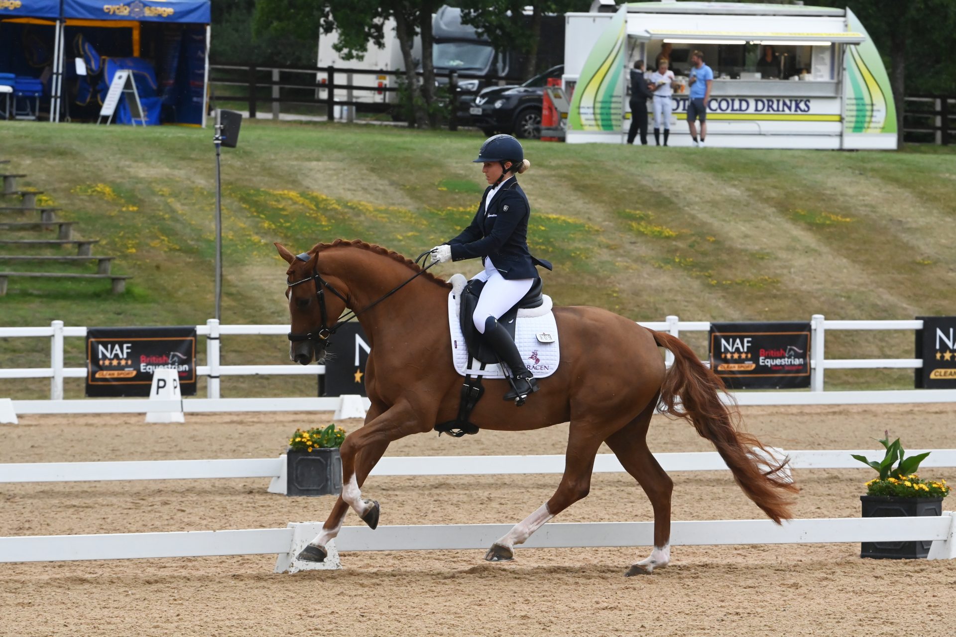 Winter Dressage Championships 2024 ones to watch
