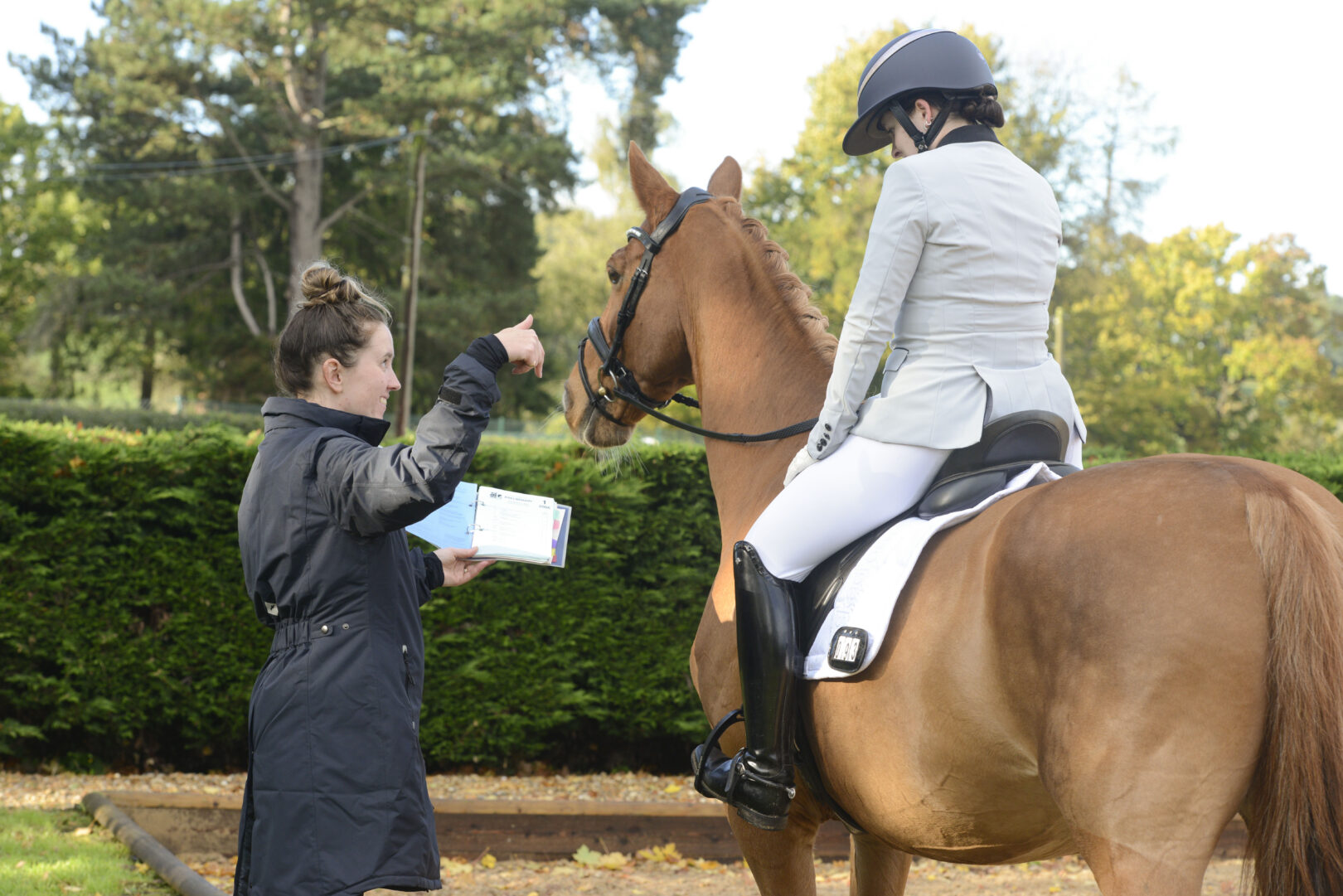 How to create your dream horsey wedding - Horse & Hound