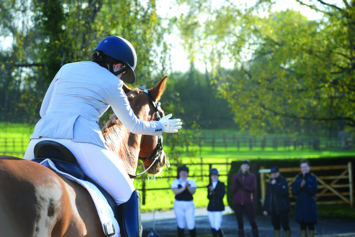 What is working equitation? A guide for riders looking for something new