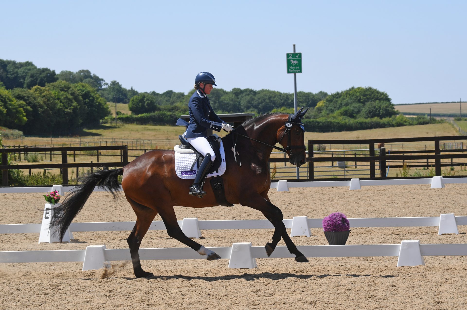 Winter Dressage Championships 2024 ones to watch