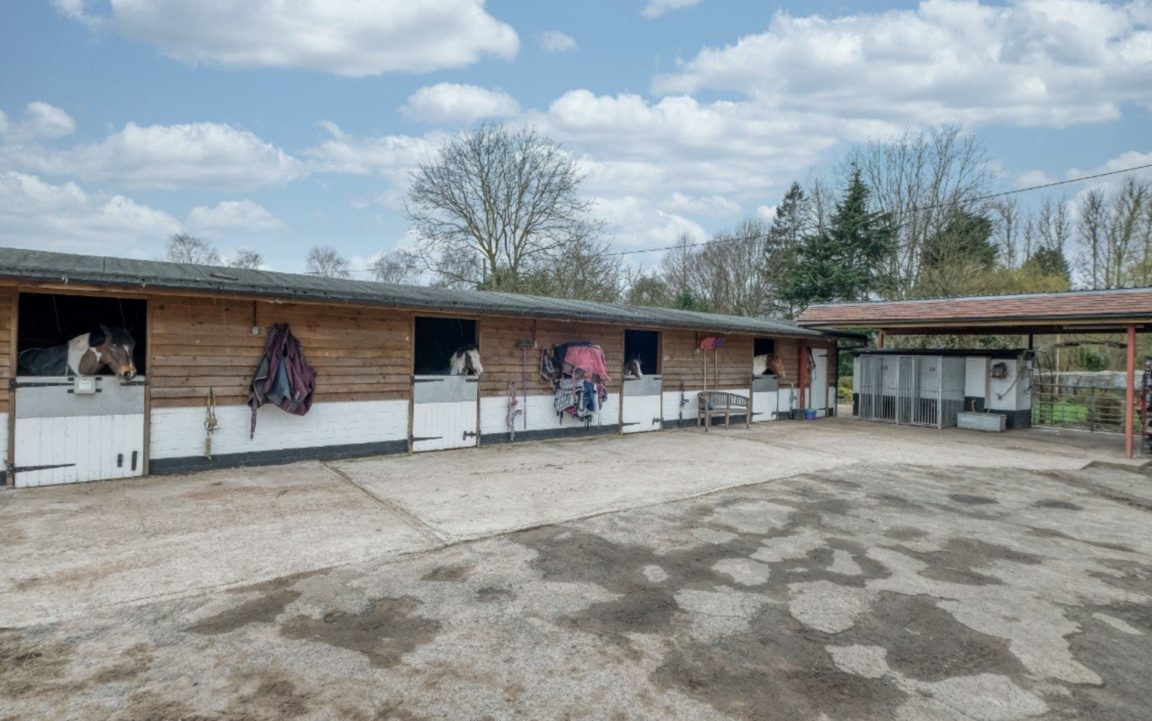 Check out this Tudor home, complete with stables, arena and indoor pool ...