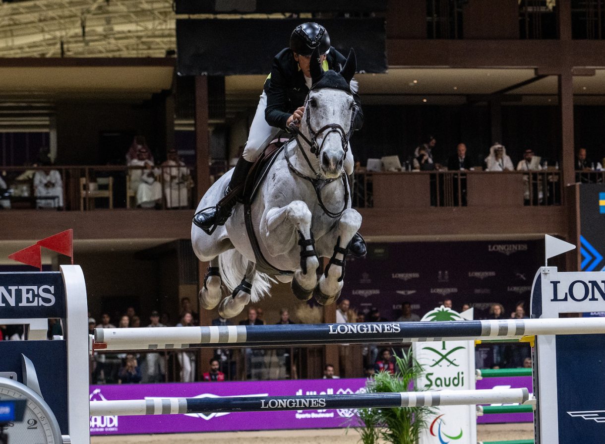 Catch Me Not – horse wins prize at World Cup Final aged 18