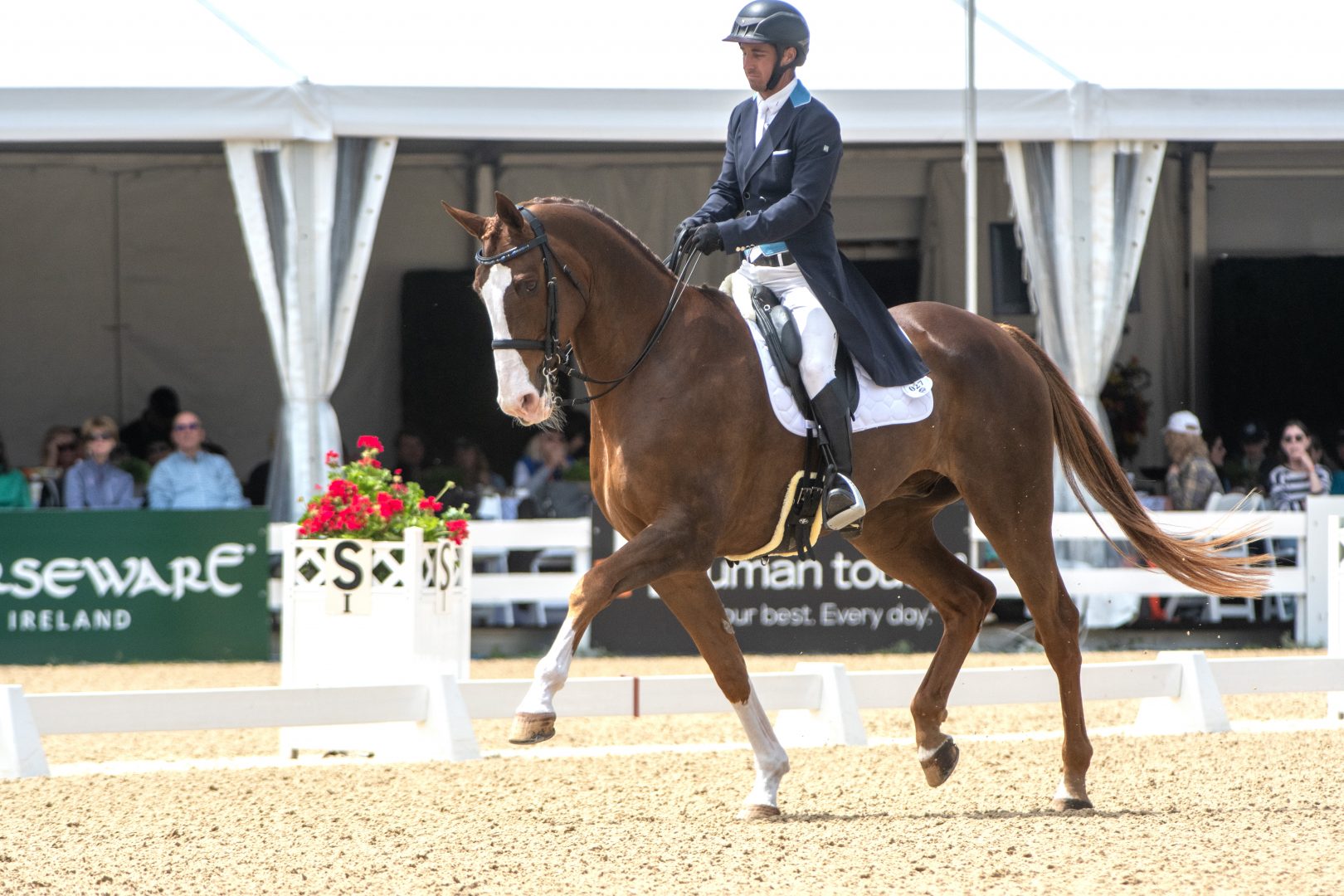 Kentucky Three-Day Event showjumping: podium finishers react