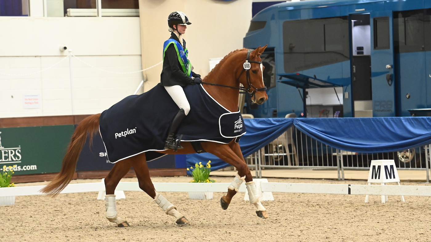 Petplan Area Festival Championships under-21 classes - Horse & Hound
