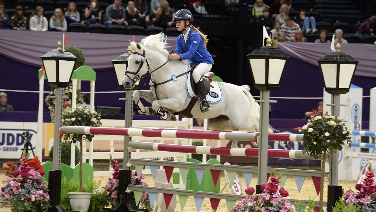 ‘He was magnificent’: farewell to life-changing top jumping pony aged ...