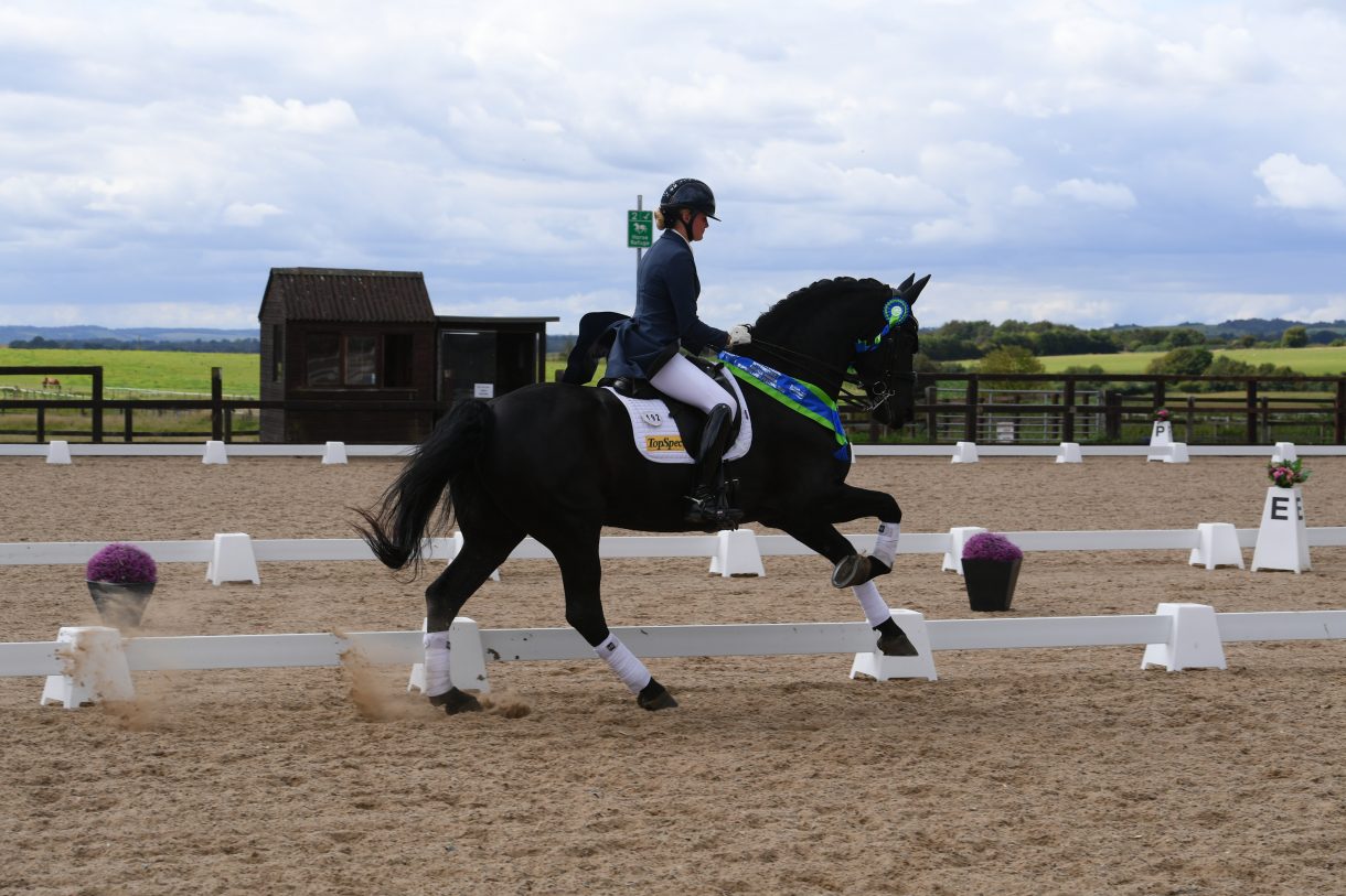 Gracie Catling and Friesians impress at winter dressage championships
