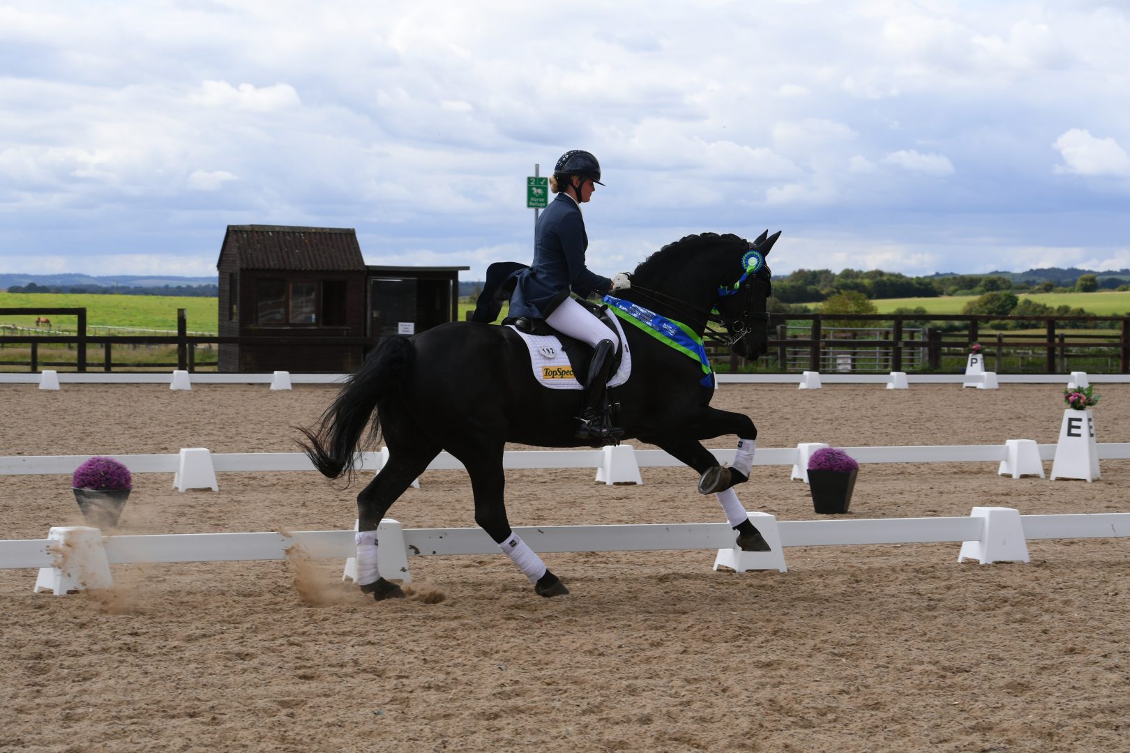 Gracie Catling and Friesians impress at winter dressage championships