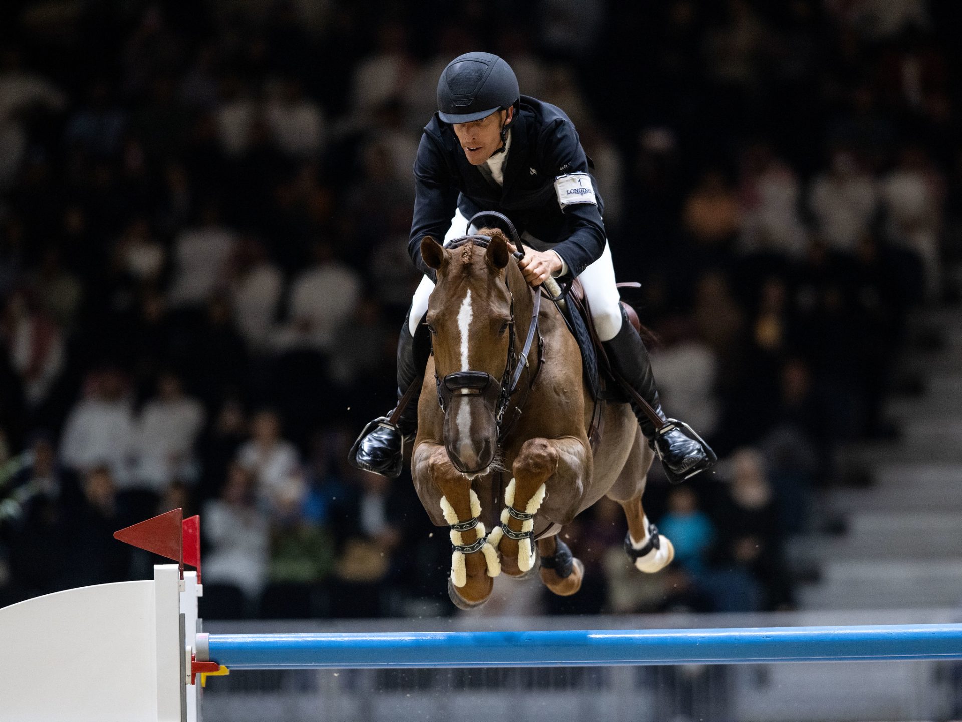 7 tips for fitting your horse’s girth correctly - Horse & Hound