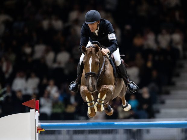 Showjumping: Horse & Hound's home for showjumping fans