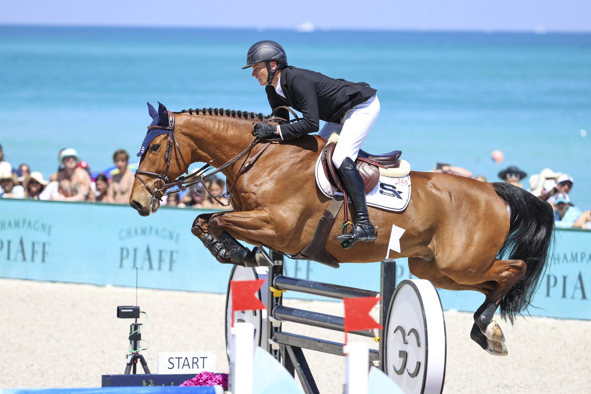 International showjumping news - Michael Duffy wins first 5* grand prix