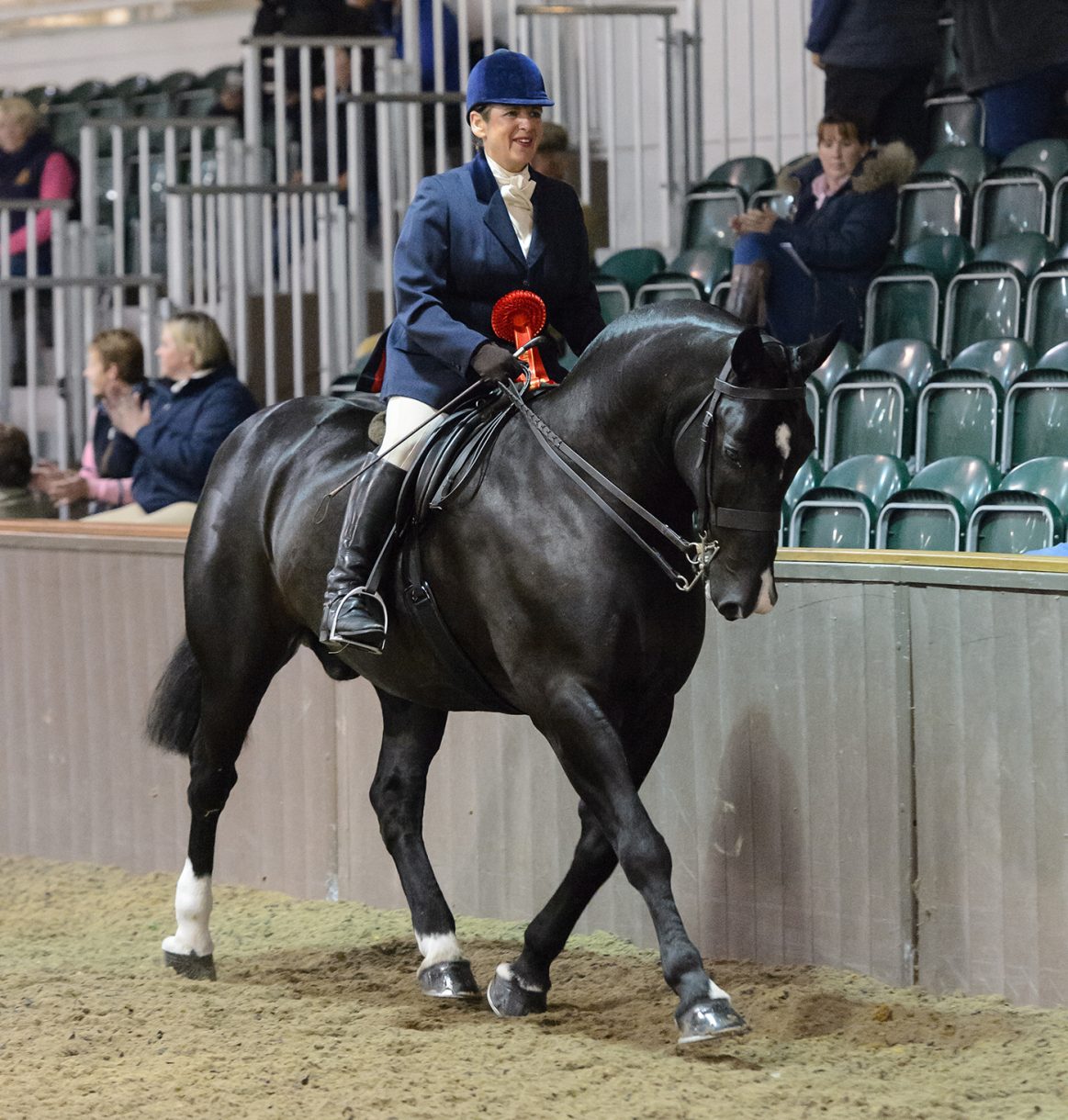 Top show cob Its Abracobdabra has died - Horse & Hound