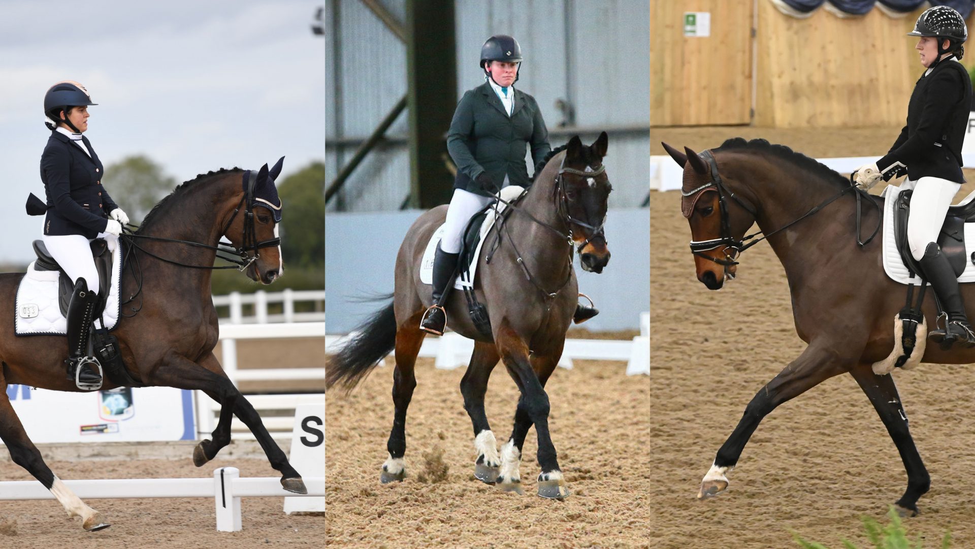 Winter Dressage Championships 2024 against the odds