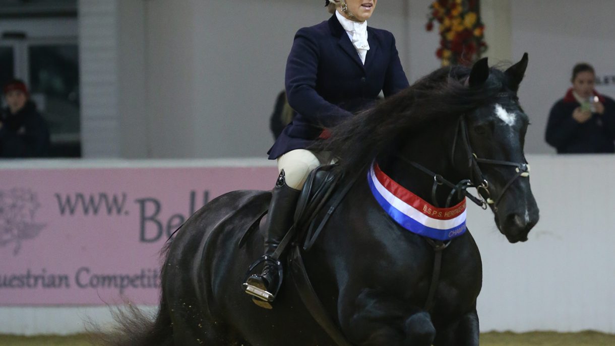 H&H's guide to M&M working hunter pony classes - Horse & Hound