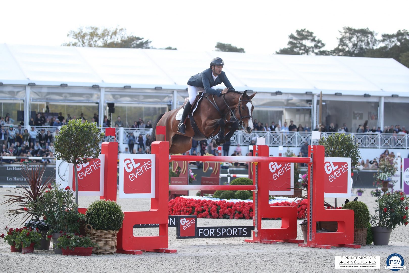 This week's showjumping news with Daniel Deusser and Steve Guerdat