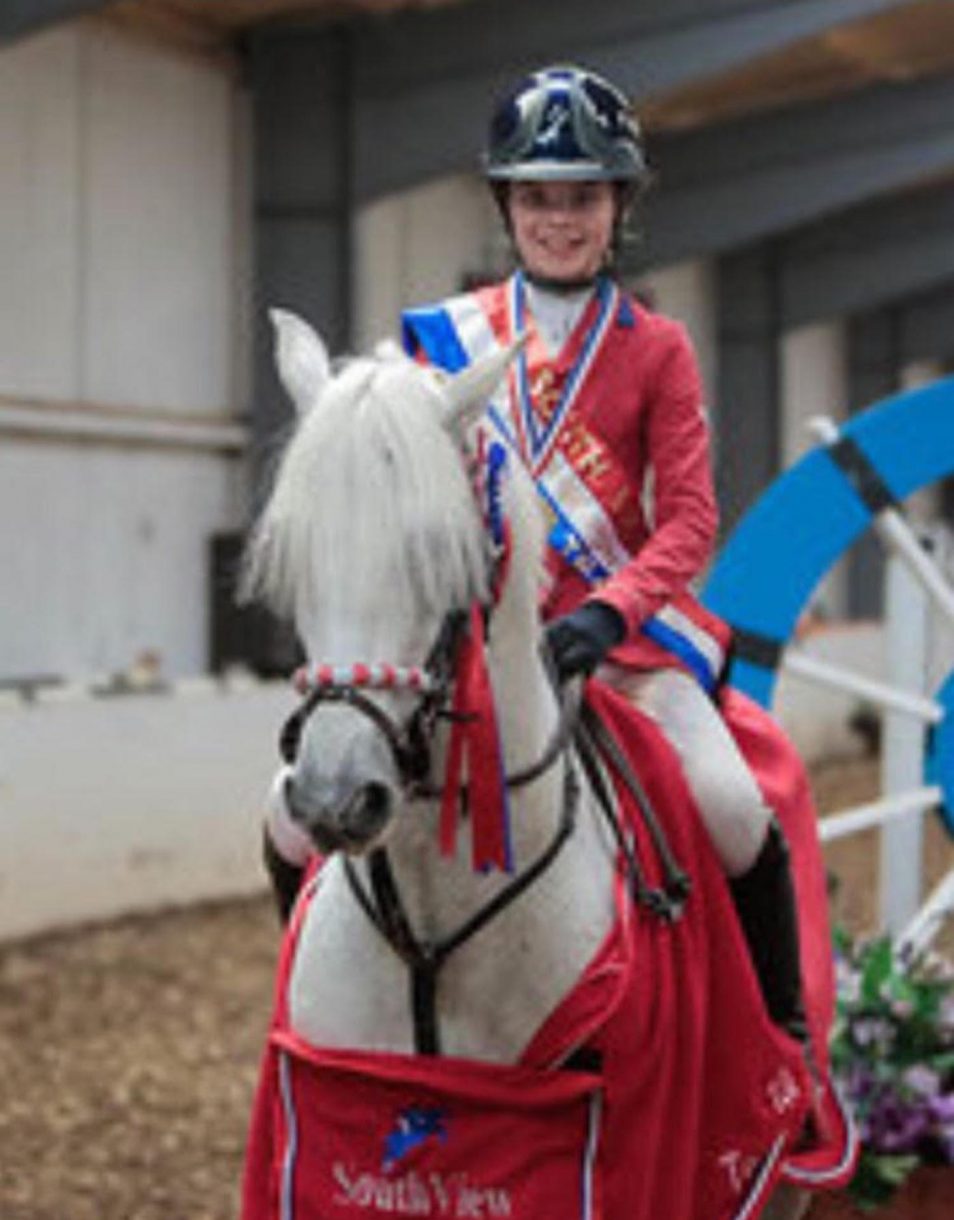 ‘He lived his days doing what he loved’: farewell to top pony stallion ...