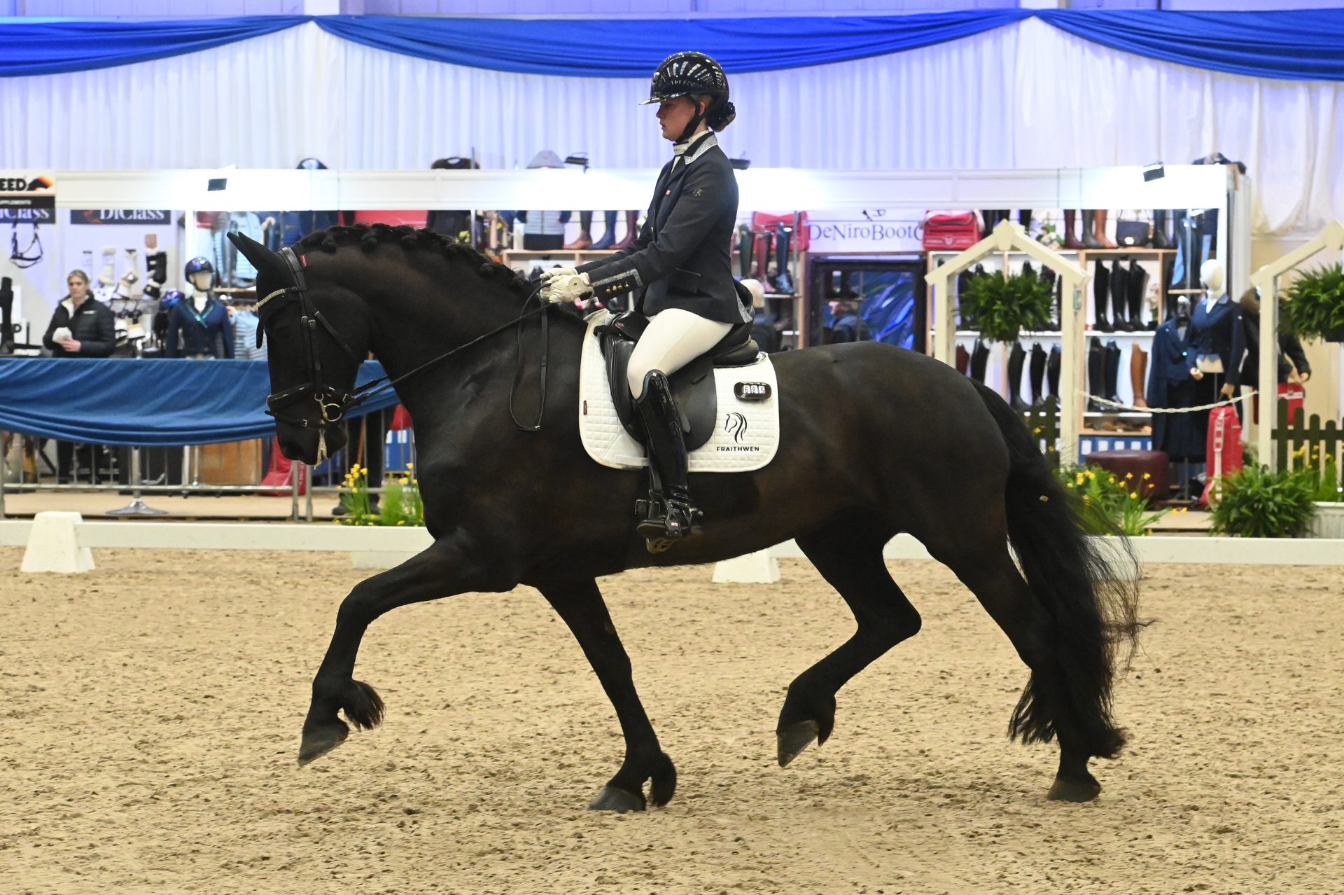 Friesian horse: the history and hallmarks of this stunning Dutch breed