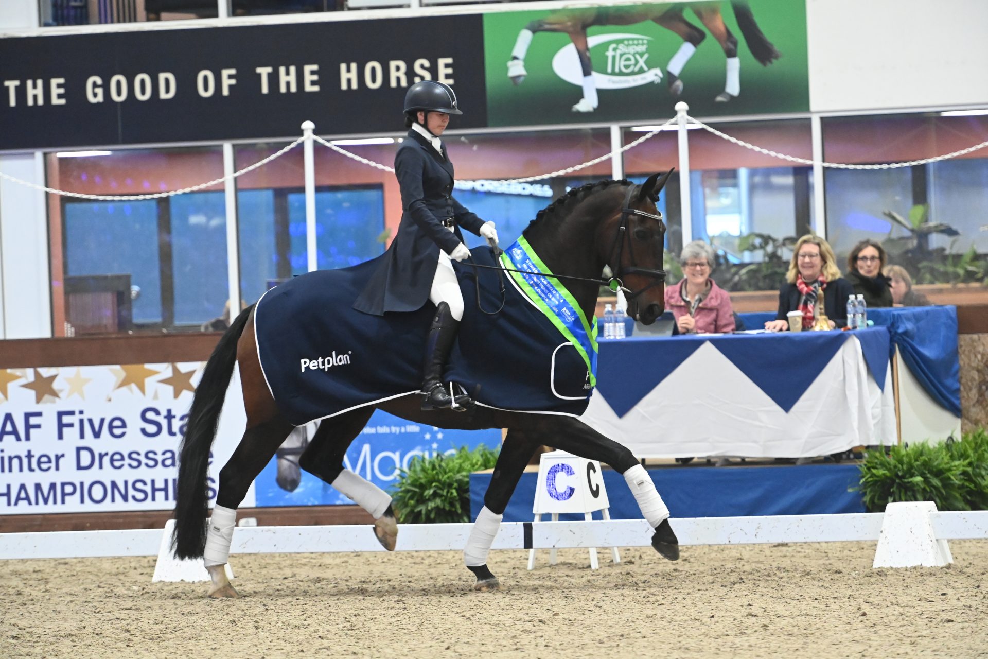 Jezz Palmer dominates at the 2024 Winter Dressage Championships