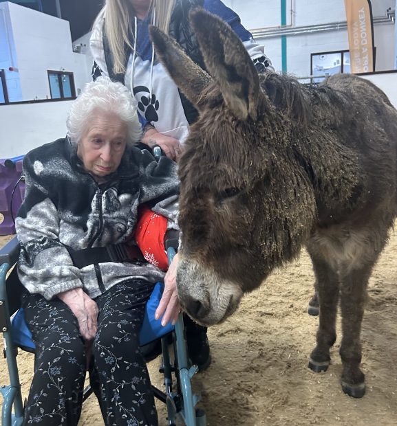 Touching moment donkeys bring joy to lady living with dementia