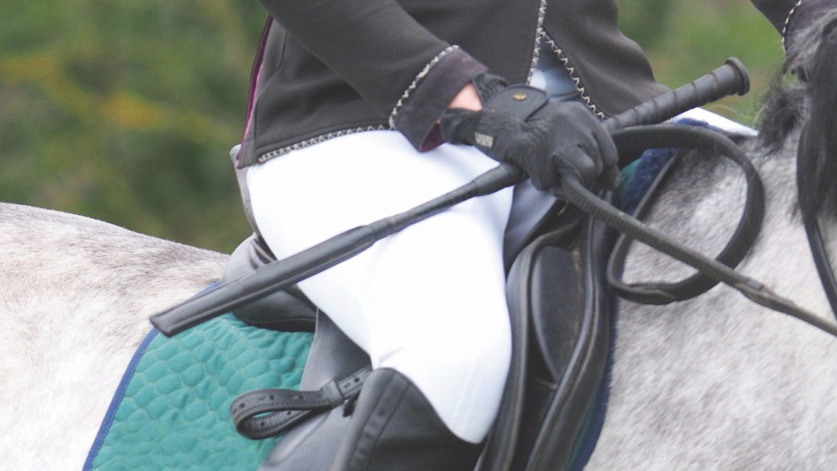 Grégory Cottard: meet this showjumper who uses very little tack