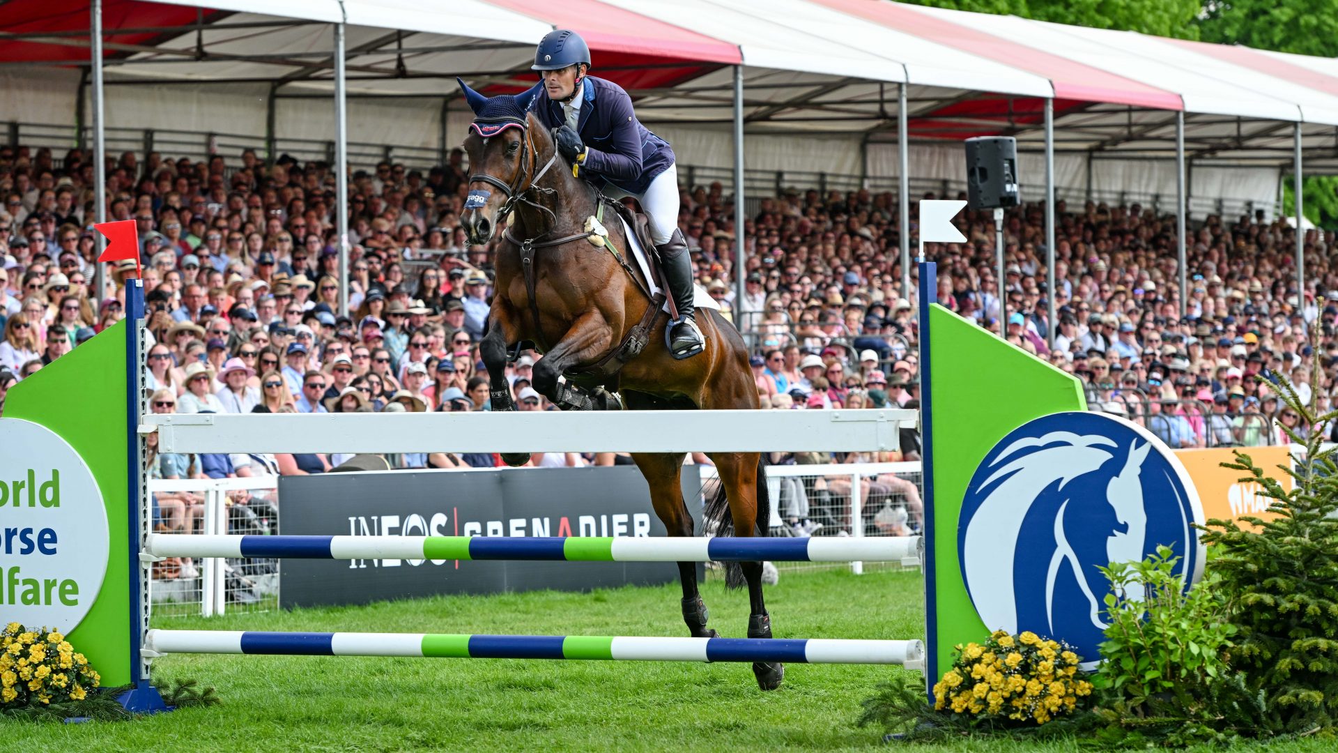 Badminton Horse Trials showjumping 2024 – best of the Brits reflects
