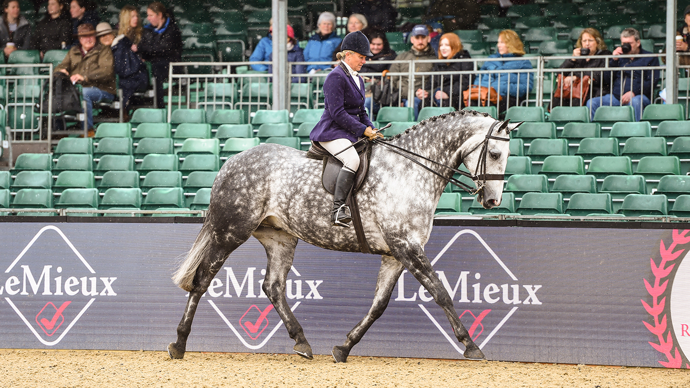 *Live* All the Royal Windsor Horse Show showing news as it happens ...