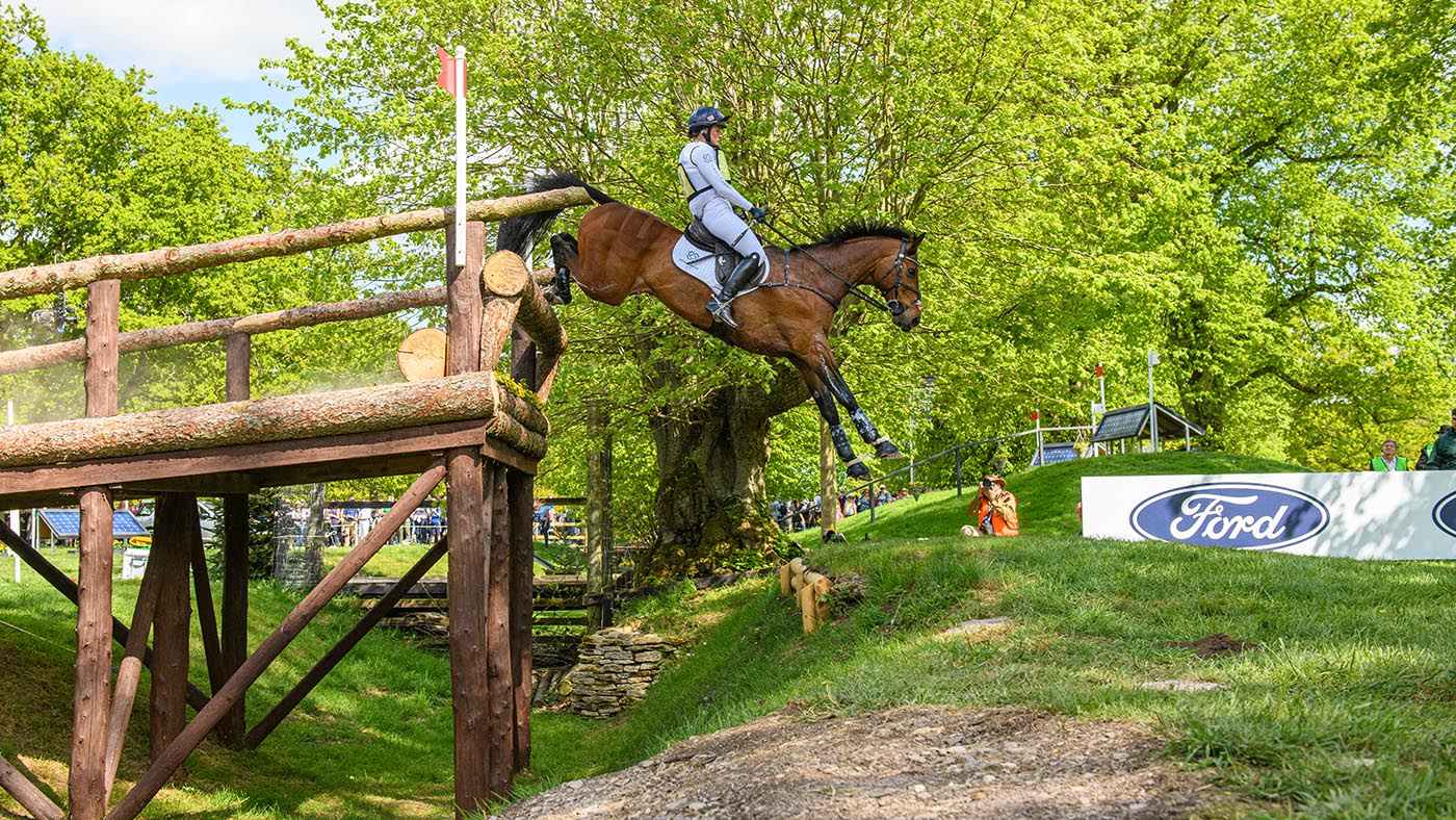 Cola – Bubby Upton’s young rider horse who’s on Britain’s Olympic long list