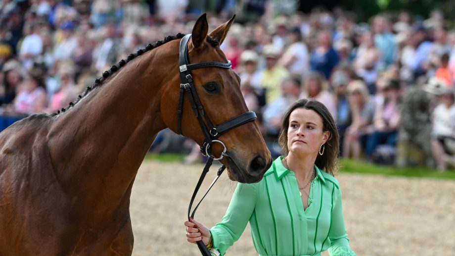 Cola – Bubby Upton’s young rider horse who’s on Britain’s Olympic long list