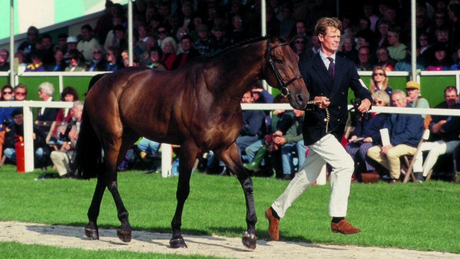 William Fox-Pitt retires – a look back at his extraordinary career in ...