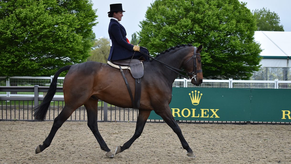 Side saddle steeplechase to return to America thanks to Downton Abbey ...