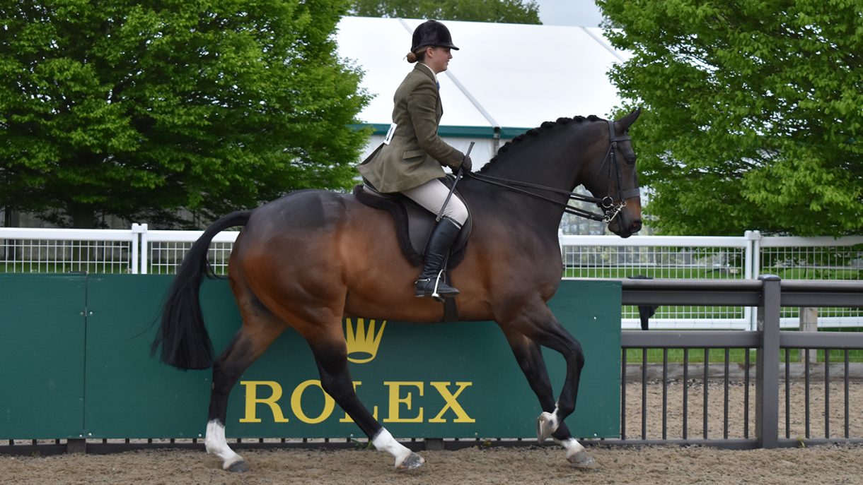 Horse & Hound - Horse & Hound