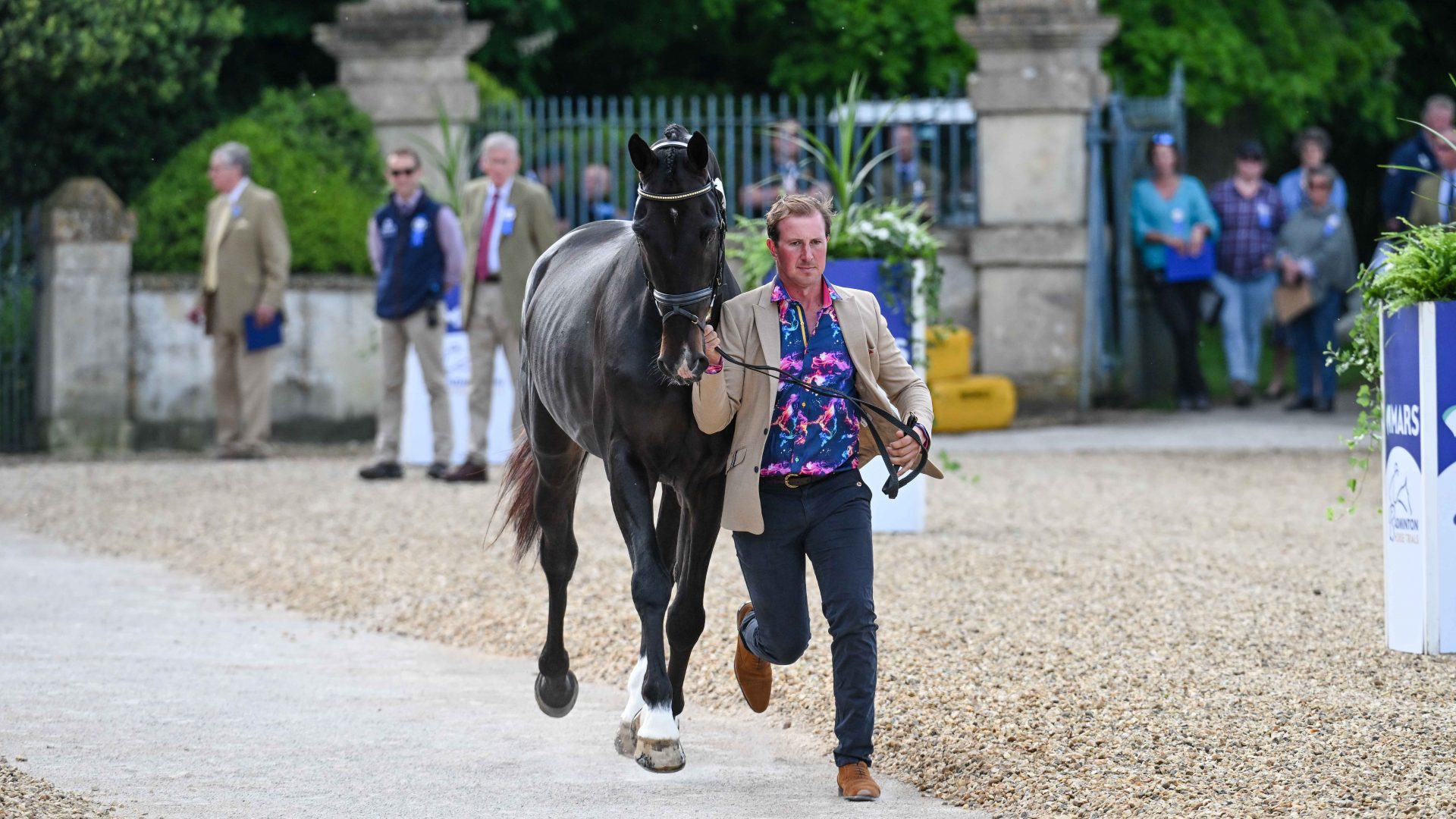 Badminton Horse Trials withdrawals – why David Doel has pulled out