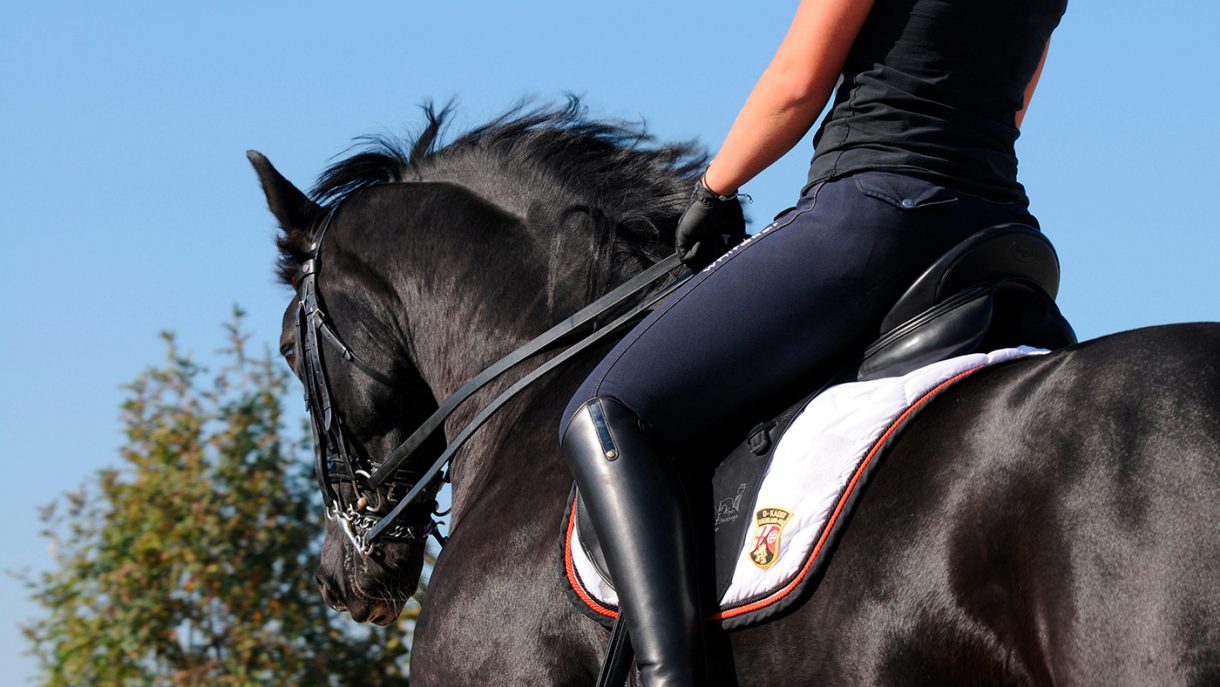 Calls for equestrians to be their horses’ guardians – not just their ...