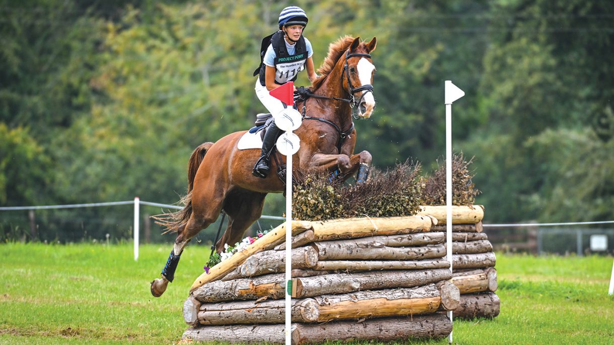 Dargun, former ride of Emily King and Piggy March, retires from eventing